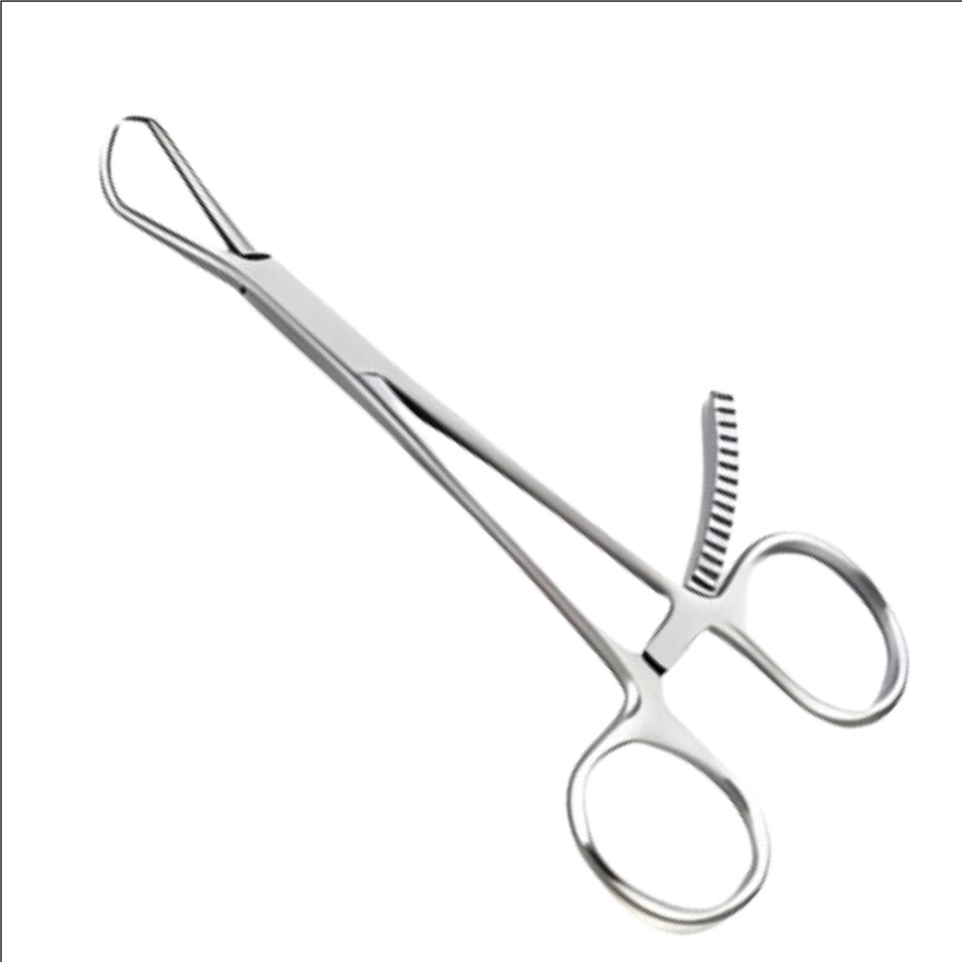 Foerster Sponge Forceps - Chun Tara Industries